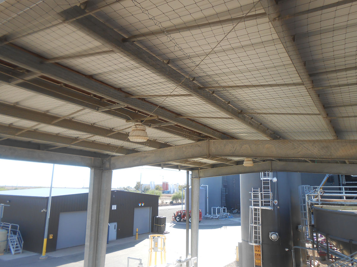 Commercial Projects - Premier Pigeon Control